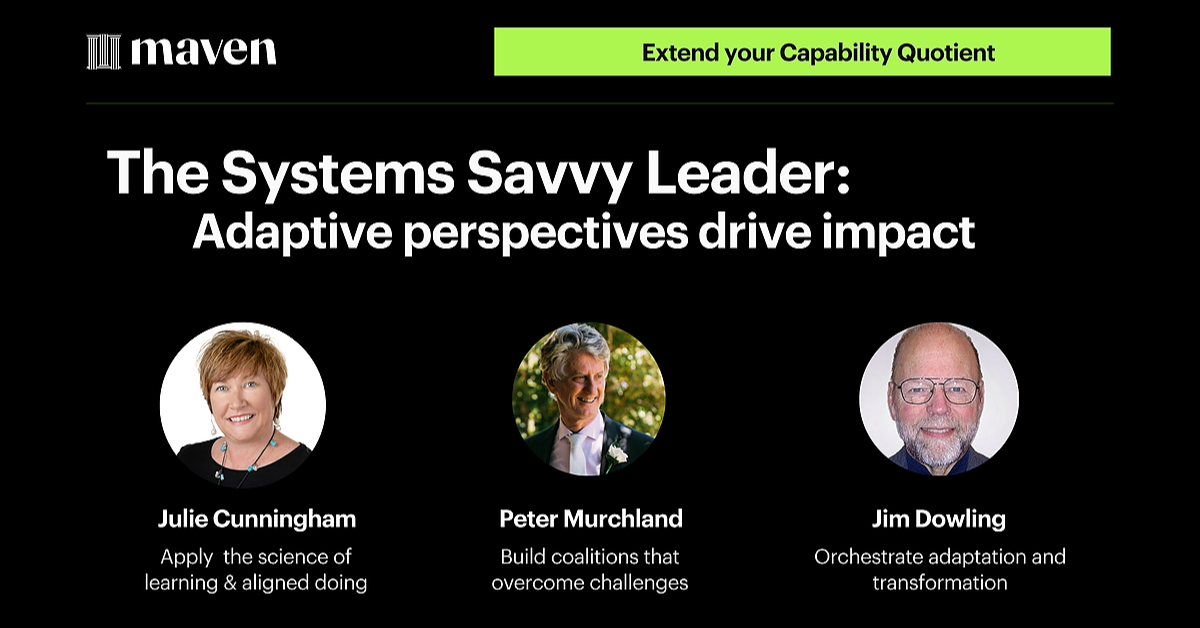 The System Savvy Leader: Adaptive perspectives drive impact